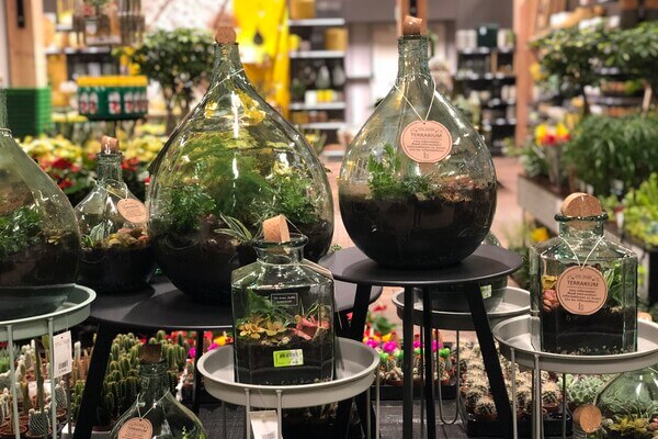 "GARDEN CENTER ADVICE ONTWIKKELT OF OPTIMALISEERT TUINCENTRA" - Garden ...